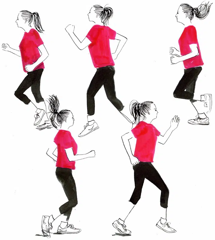 Clare Mallison | Anna Goodson Illustration Agency