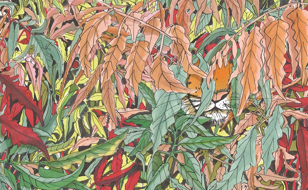 Clare Mallison Illustrates a NEW children's book, "When Cherry Lost ...