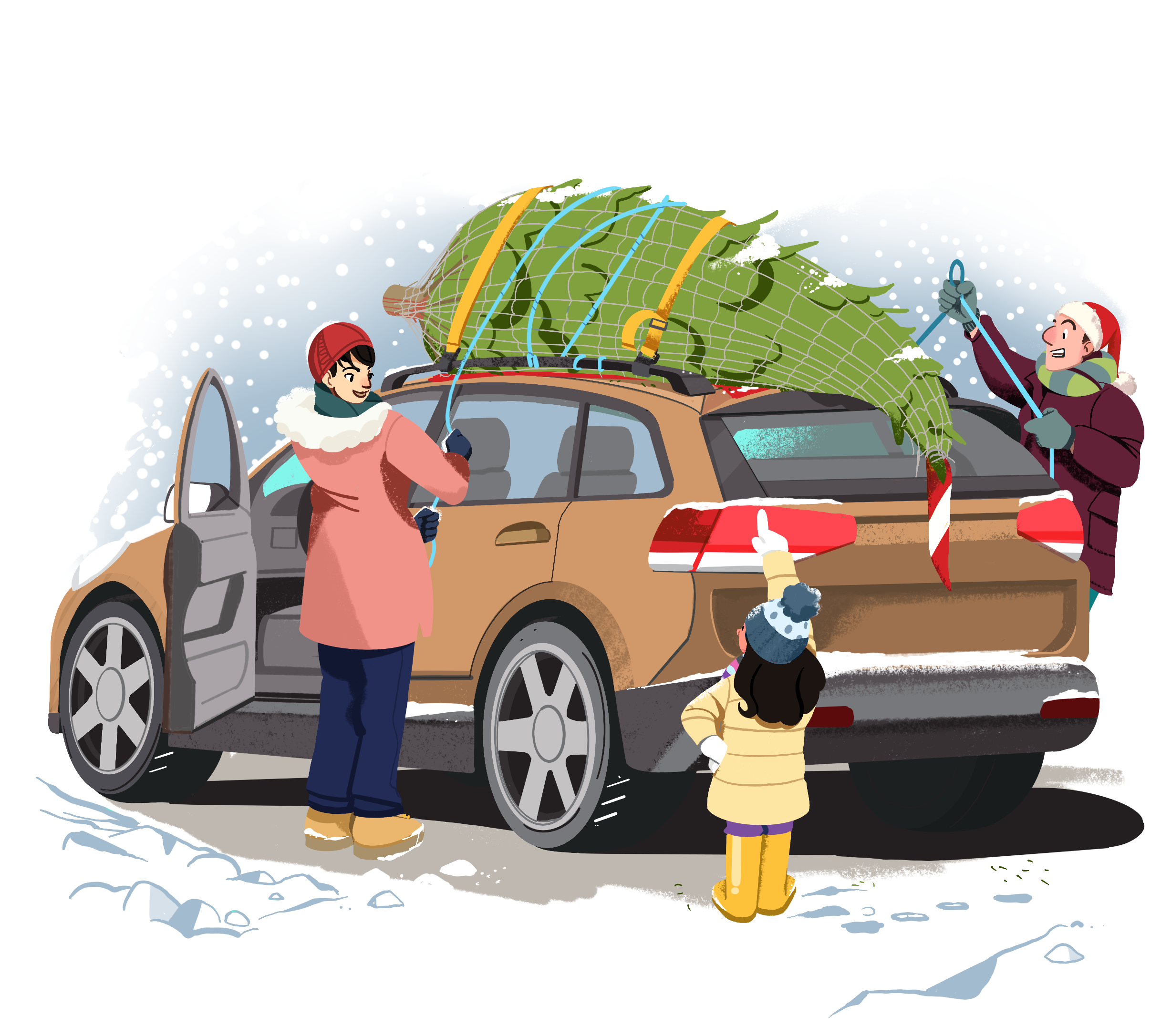 Nathan Hackett / AAA Living Illustration / How to Safely Transport your ...